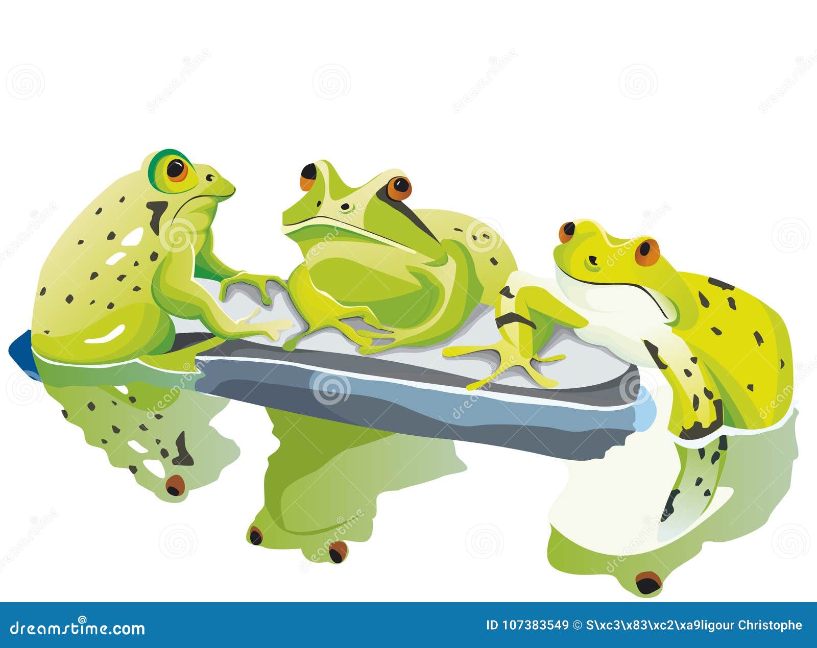 Three Toad are Talking on Their Stone Stock Vector - Illustration of ...
