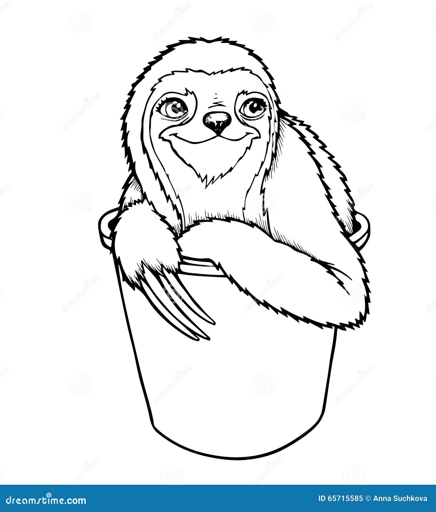 Three Toed Sloth Drawing