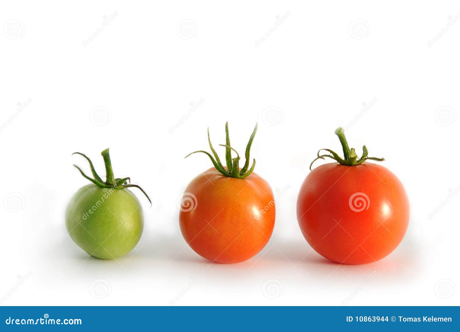 Three tomatoes stock photo. Image of colored, background - 10863944