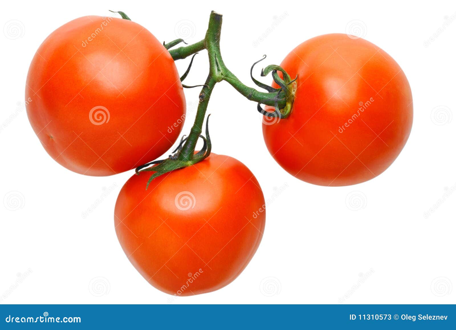 Three tomatoes stock image. Image of green, freshness - 11310573
