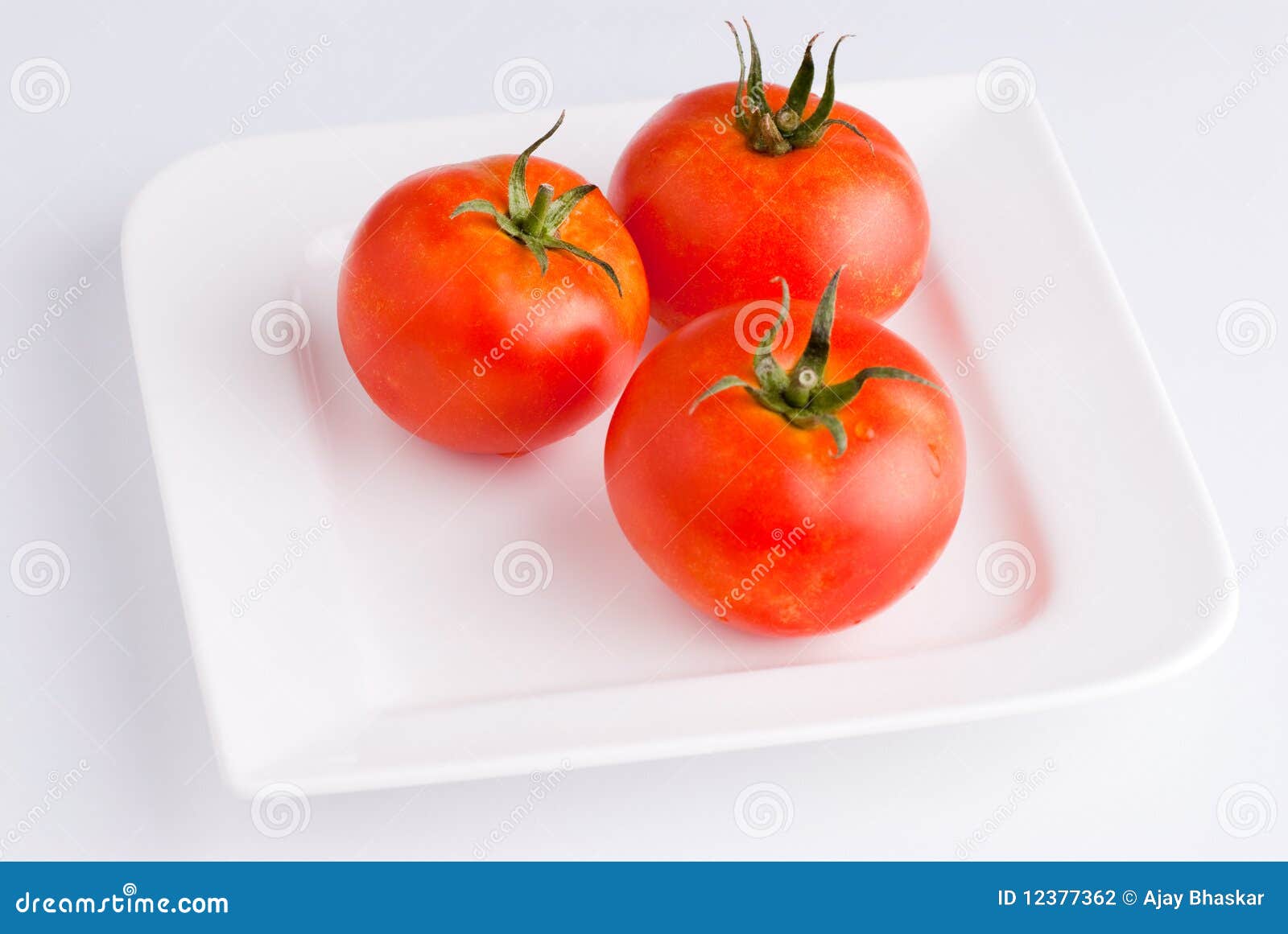 Three tomatoes stock photo. Image of organic, food, garden - 12377362