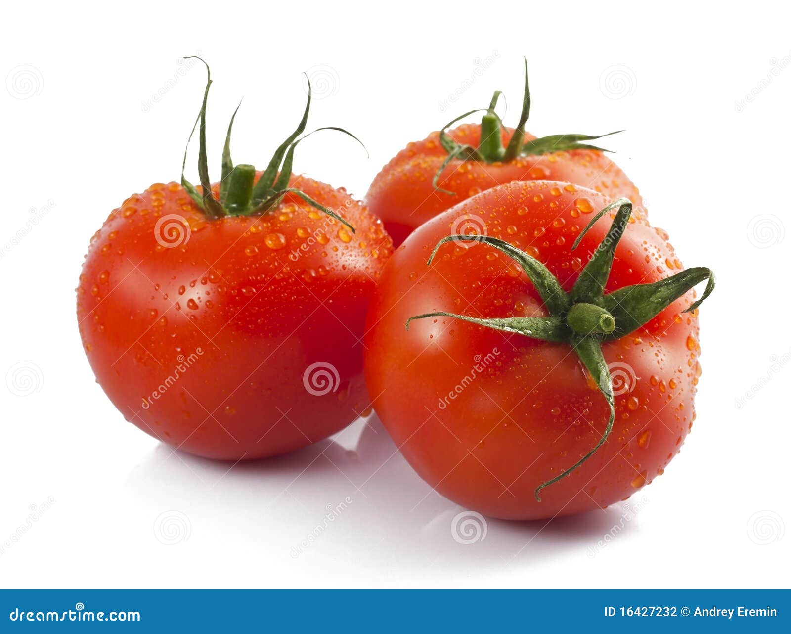 Three tomatoes stock photo. Image of circle, objects - 16427232