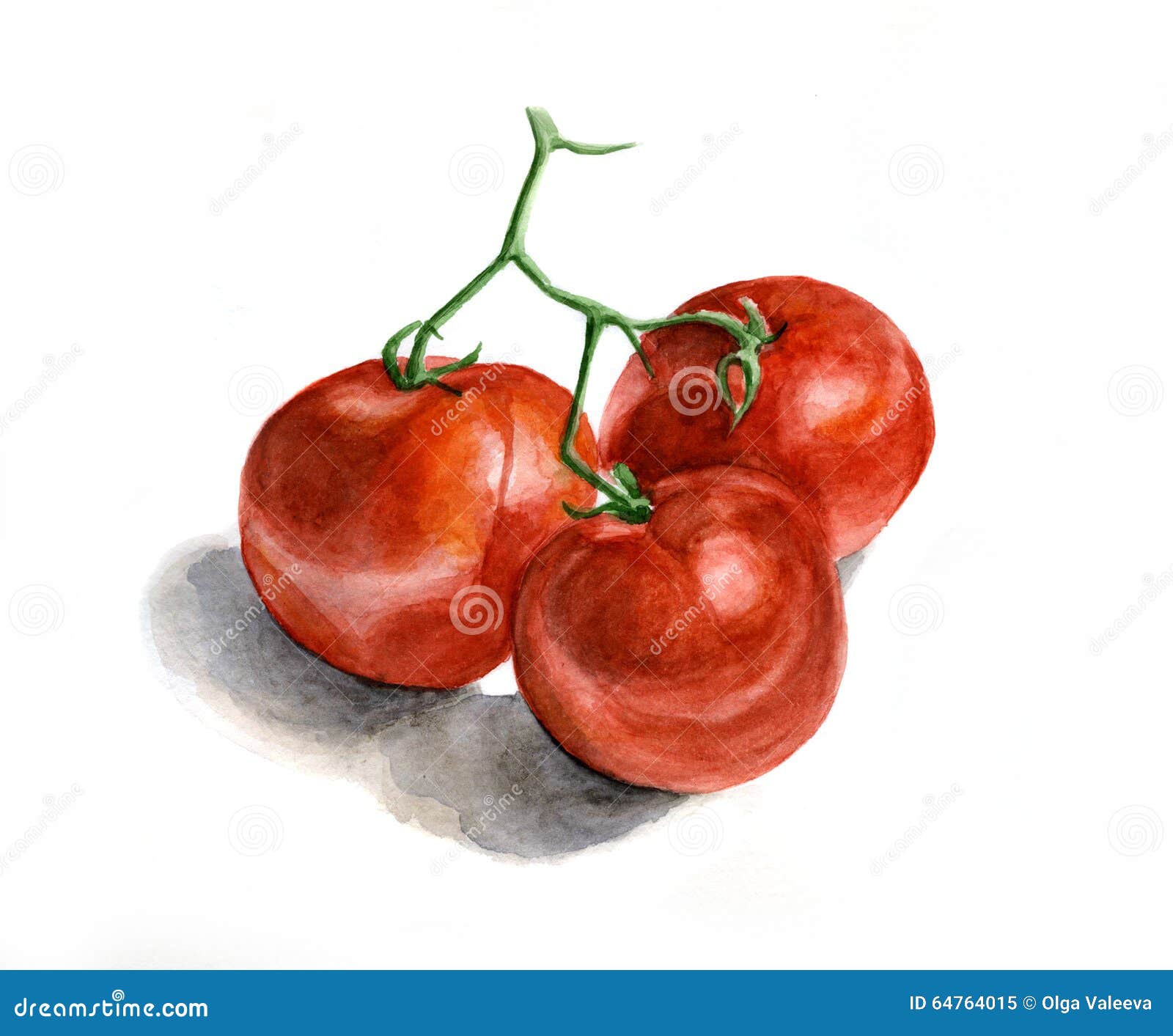 Three Tomatoes Vector Illustration | CartoonDealer.com #3240982