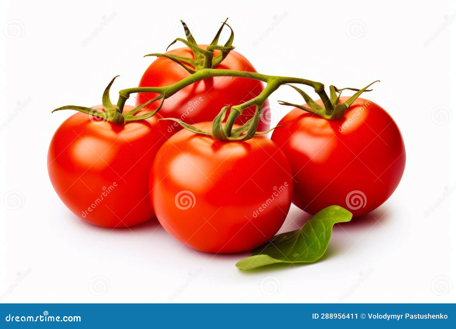 Three Tomatoes and Three Leaves on White Background with Green Stem ...