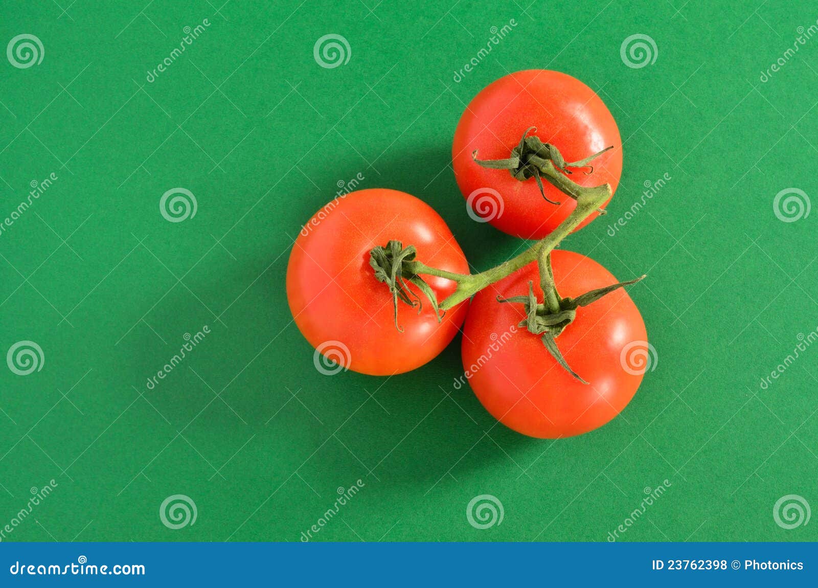 Three Tomatoes on Vine, Isolated on Green Stock Photo - Image of life ...
