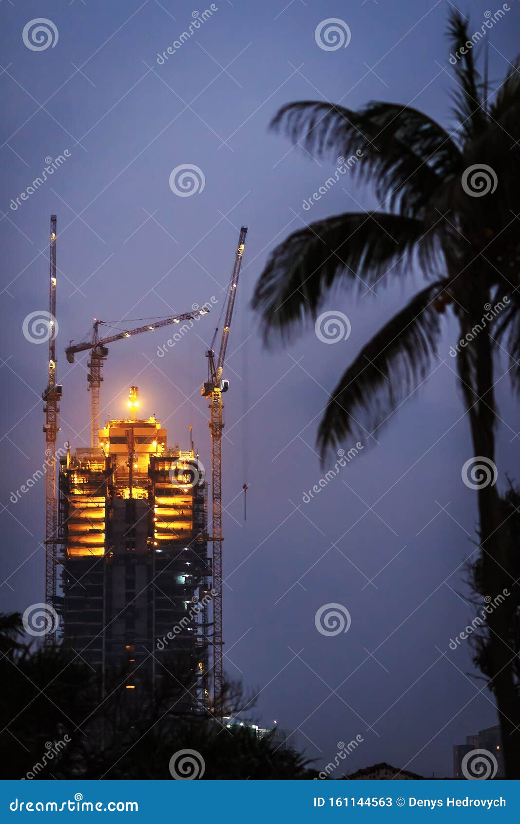 Three Tower Cranes Builds a Skyscraper in a Tropical Climate Stock ...