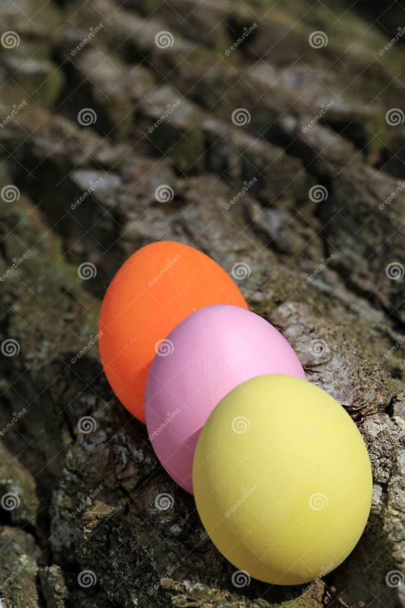Three Traditional Painted Easter Eggs on a Birch Bark Stock Image ...