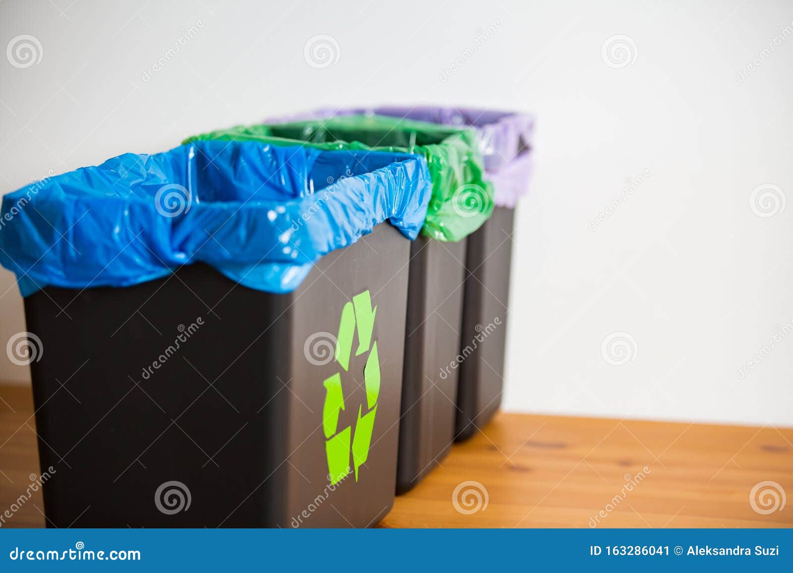 Three Trash Bins with Sorted Garbage Stock Image - Image of household ...
