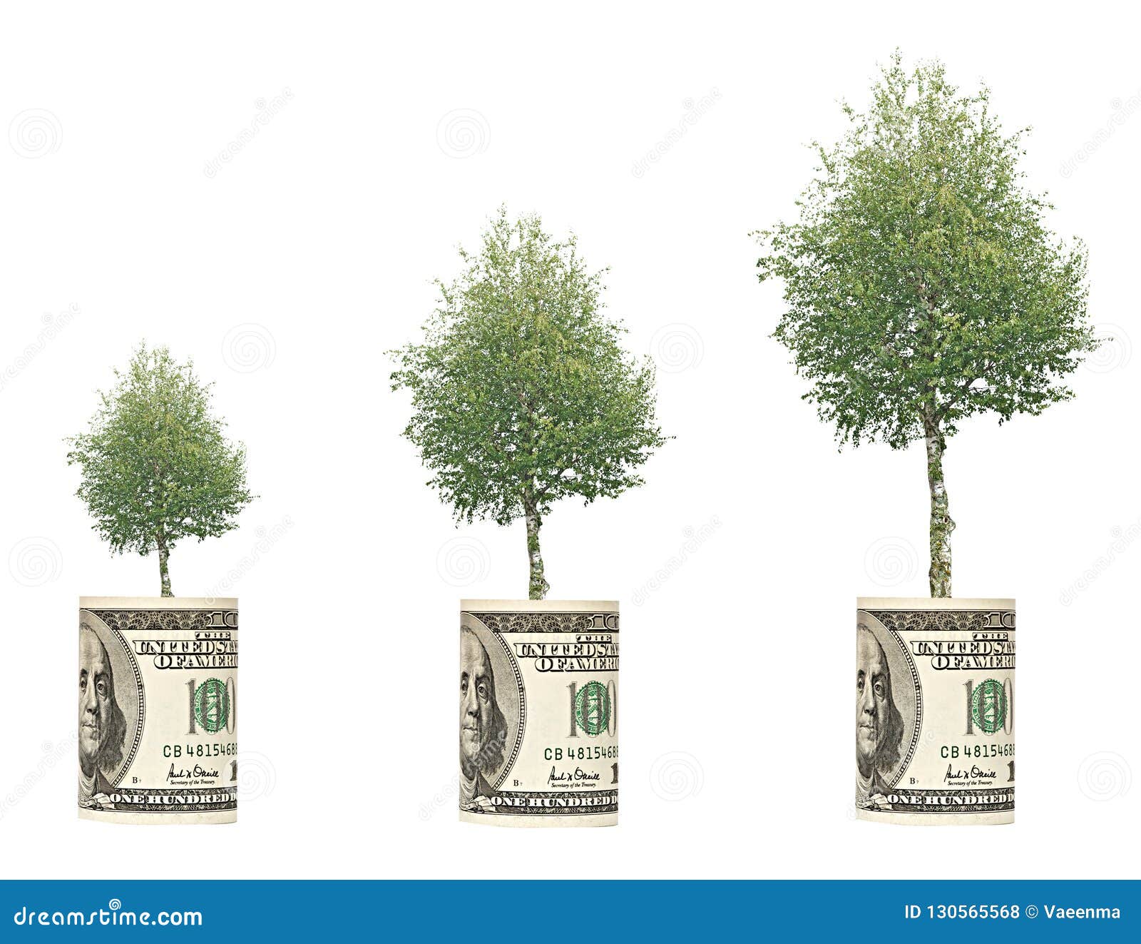 Trees Growing from Dollar Bill Stock Photo - Image of progress, trees ...