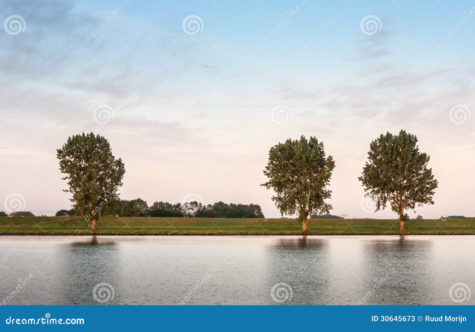 Three Trees Across the River Stock Image - Image of mirror, europe ...