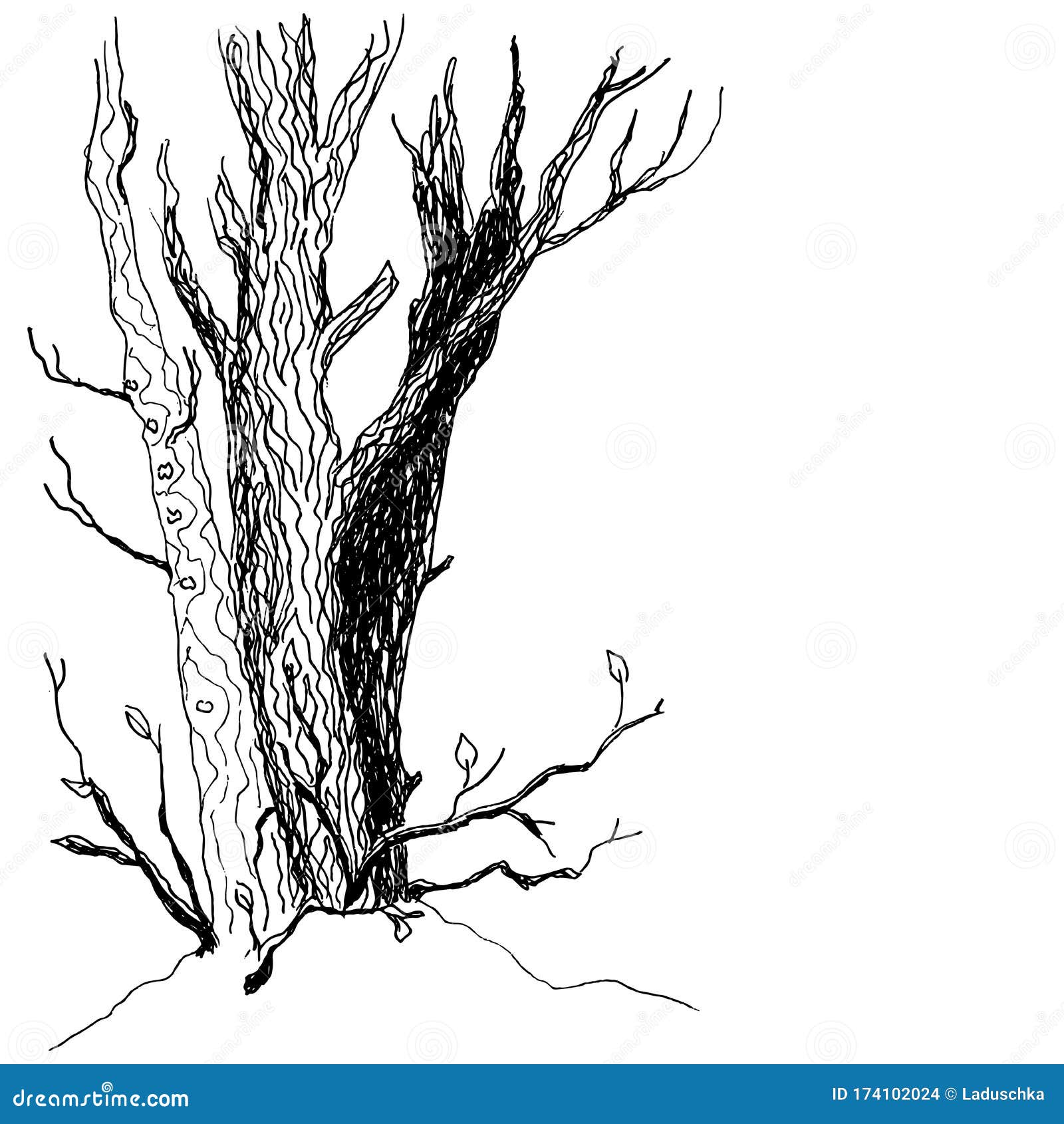 Three Trees Growing Extremely Close. Ink Sketch Stock Vector ...