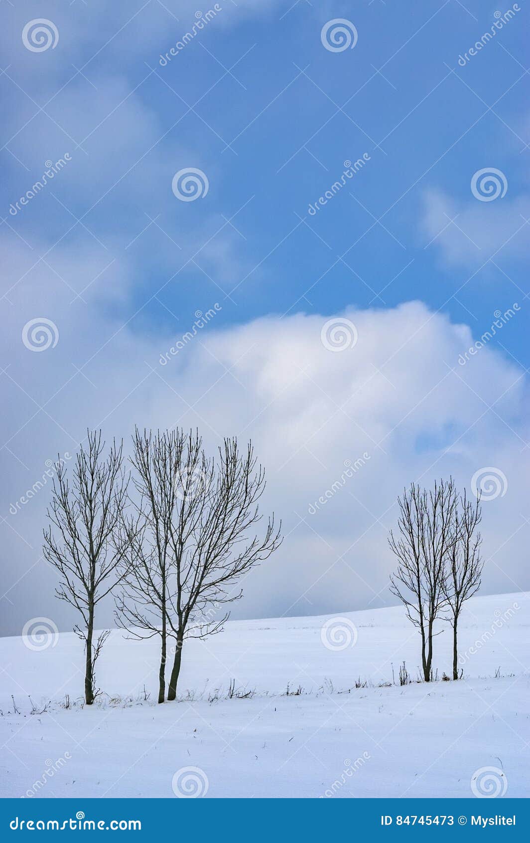 Three Trees in the Landscape Stock Image - Image of nature, plants ...