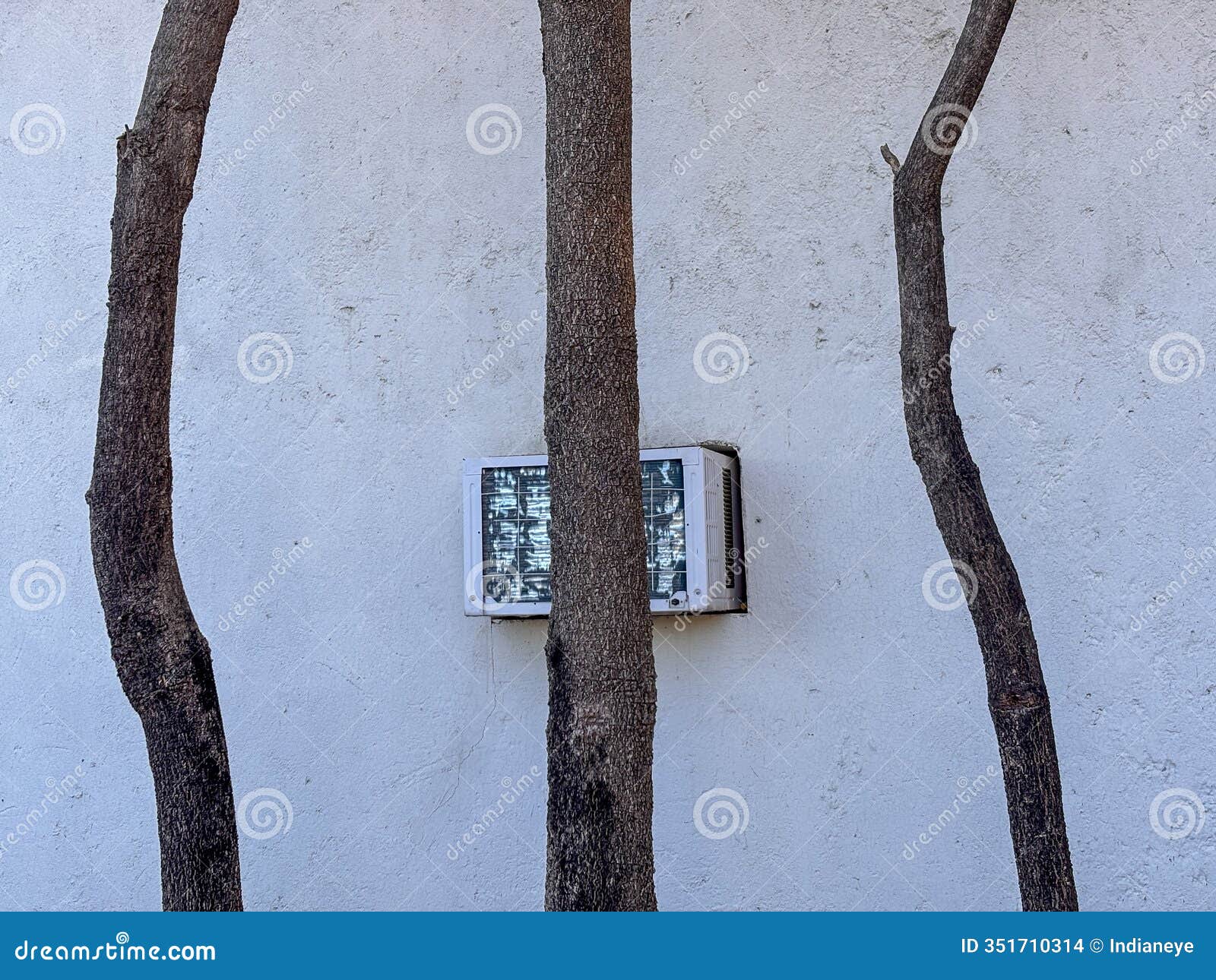 Three Trees are Leaning Against a White Wall Stock Photo - Image of ...