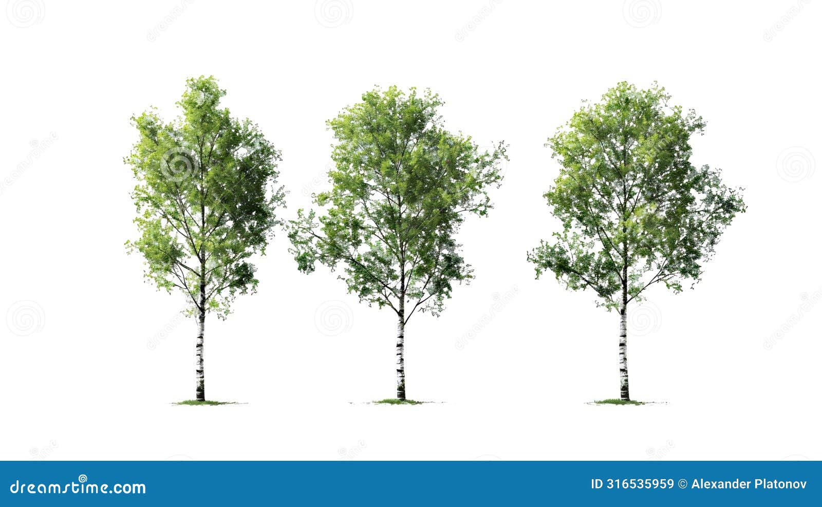 Three Trees with Different Colored Leaves, One is Yellow, One is Red on ...