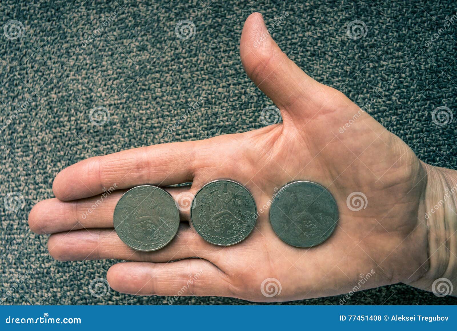 Three Tunisian Coins on the Woman S Palm Stock Photo - Image of center ...