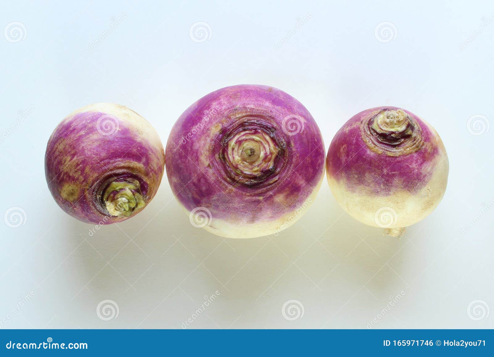 Turnips stock photo. Image of healthy, ripe, agriculture - 165971746