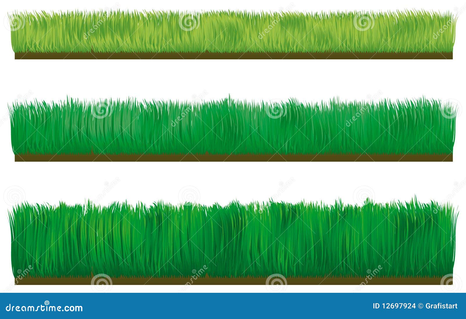 Three Types of Border Grass Stock Vector - Illustration of front ...