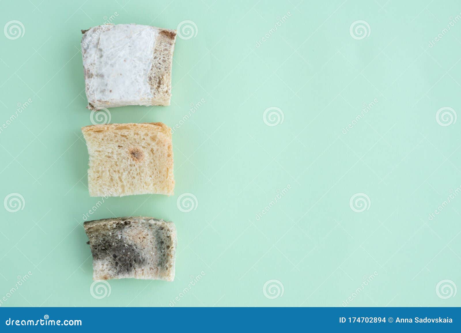 Types Of Bread Mold