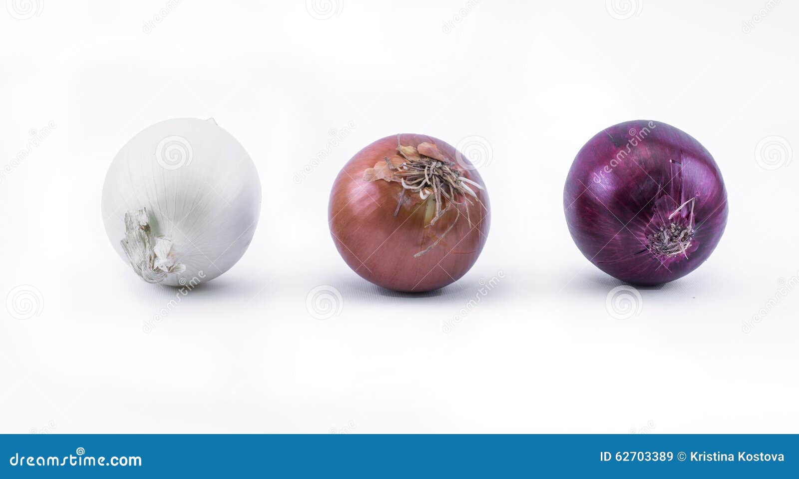 Three Types of Onions on a White Background - Front View Stock Image ...