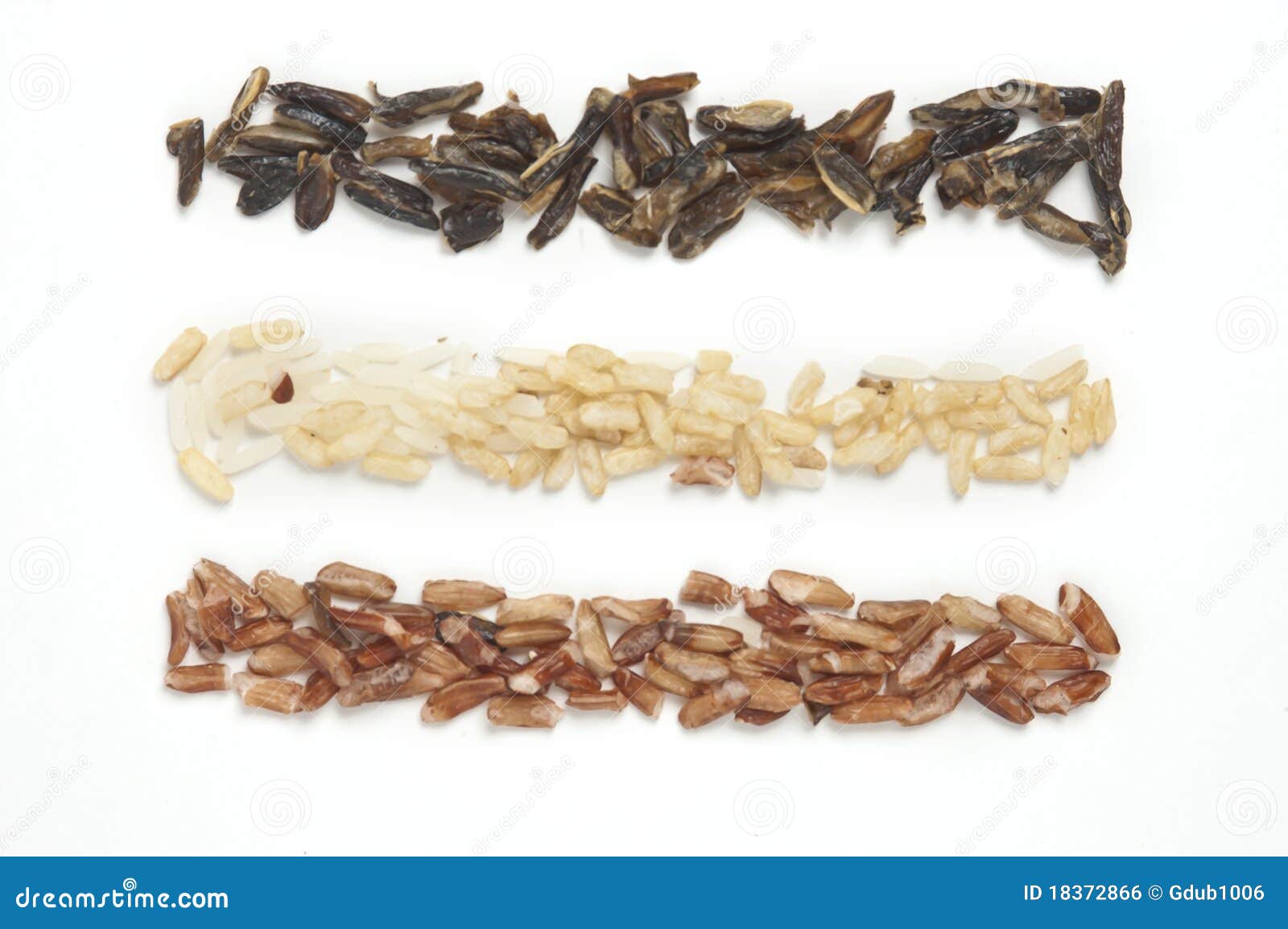 Three Types of Rice in a Row Stock Photo - Image of kernels, full: 18372866