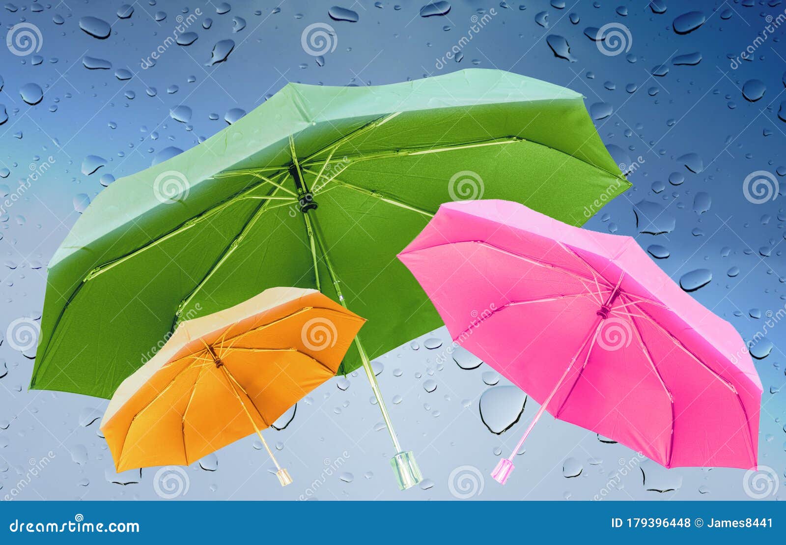 Three umbrellas. stock photo. Image of umbrella, autumn - 179396448