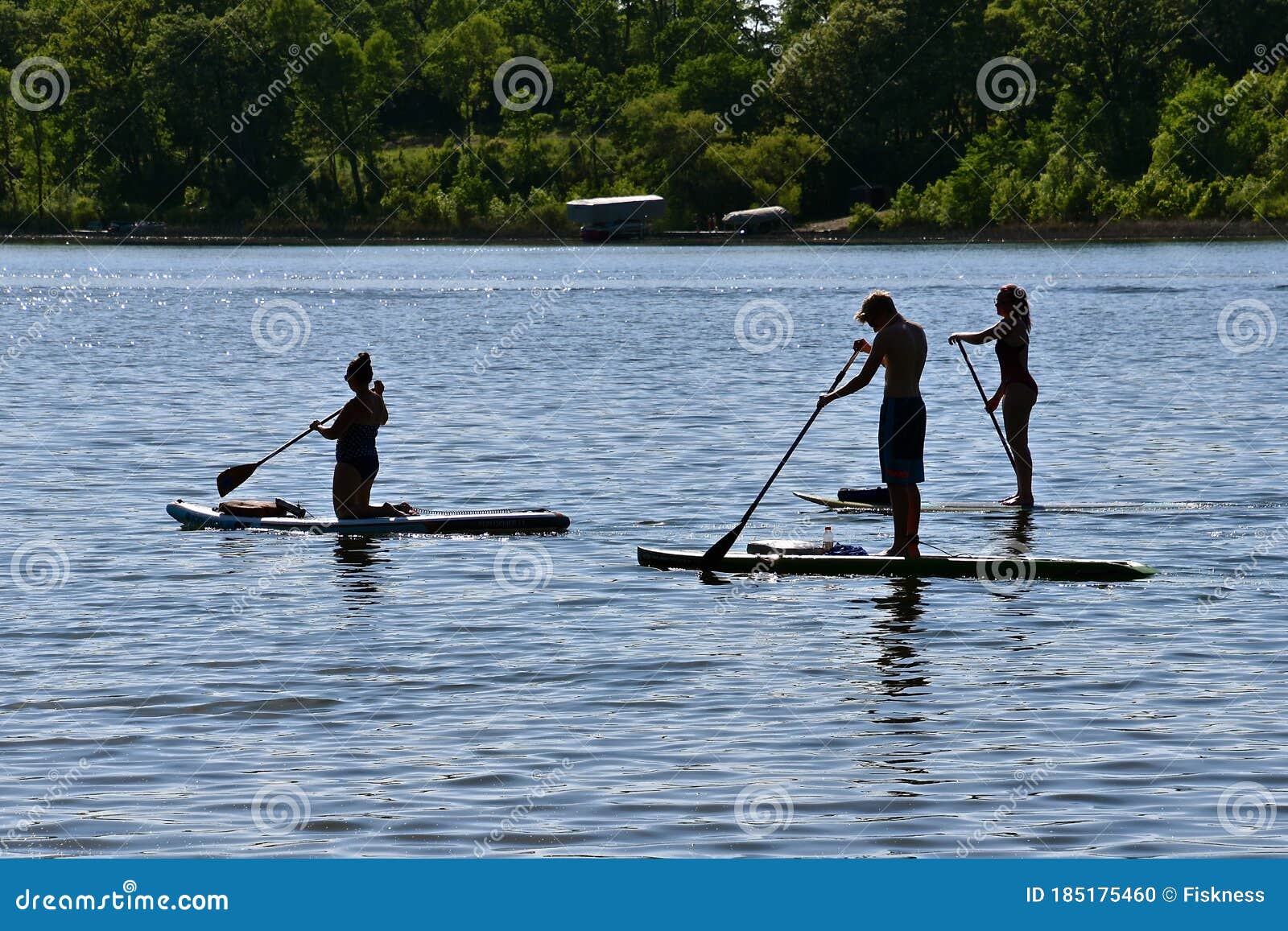 Paddle boarding on a lake editorial image. Image of board - 185175460