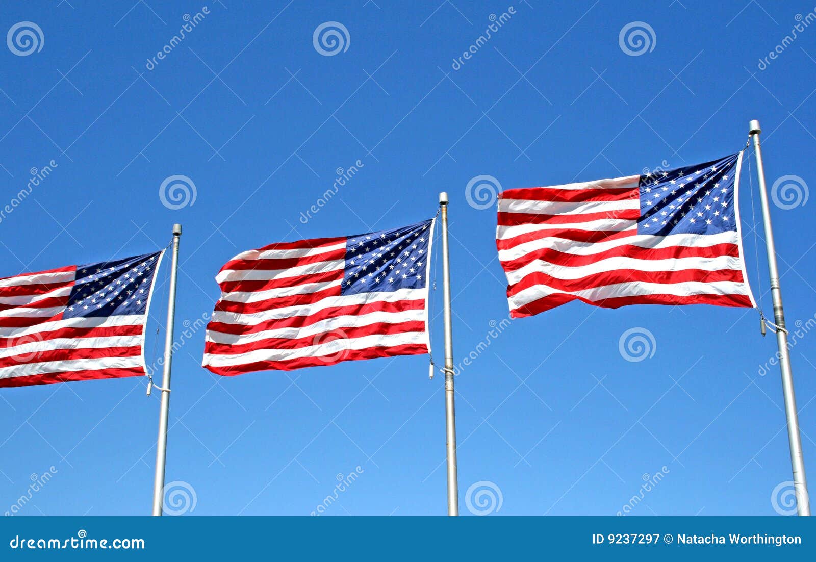 Three US flags stock image. Image of group, wind, allegiance - 9237297