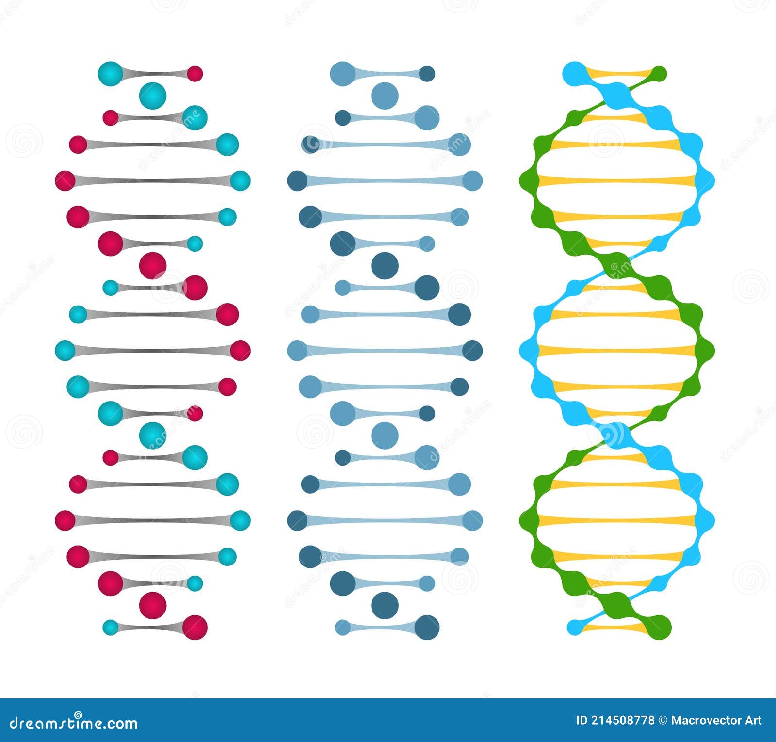 Three Variants of Double Strand DNA Molecules Stock Vector ...