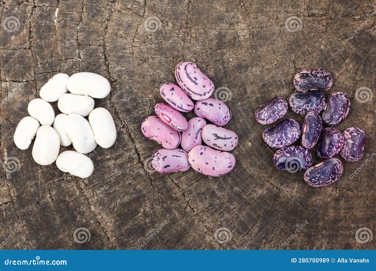 Three varieties of beans stock image. Image of white - 280700989
