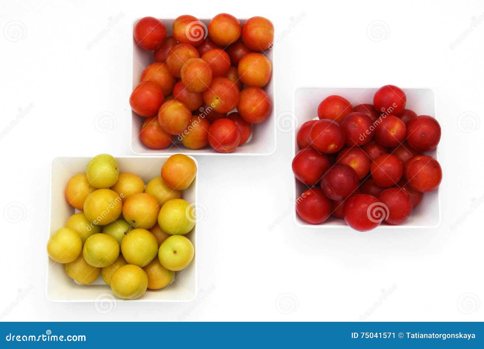 Three Varieties of Cherry-plum Stock Image - Image of harvest, growth ...
