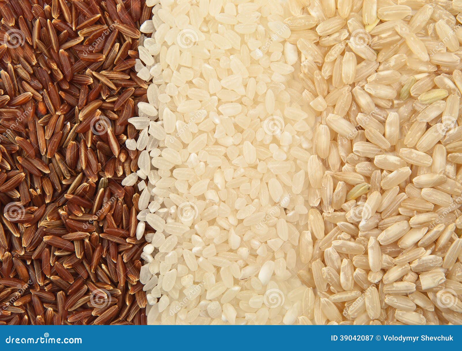 Three varieties of rice stock image. Image of grains - 39042087