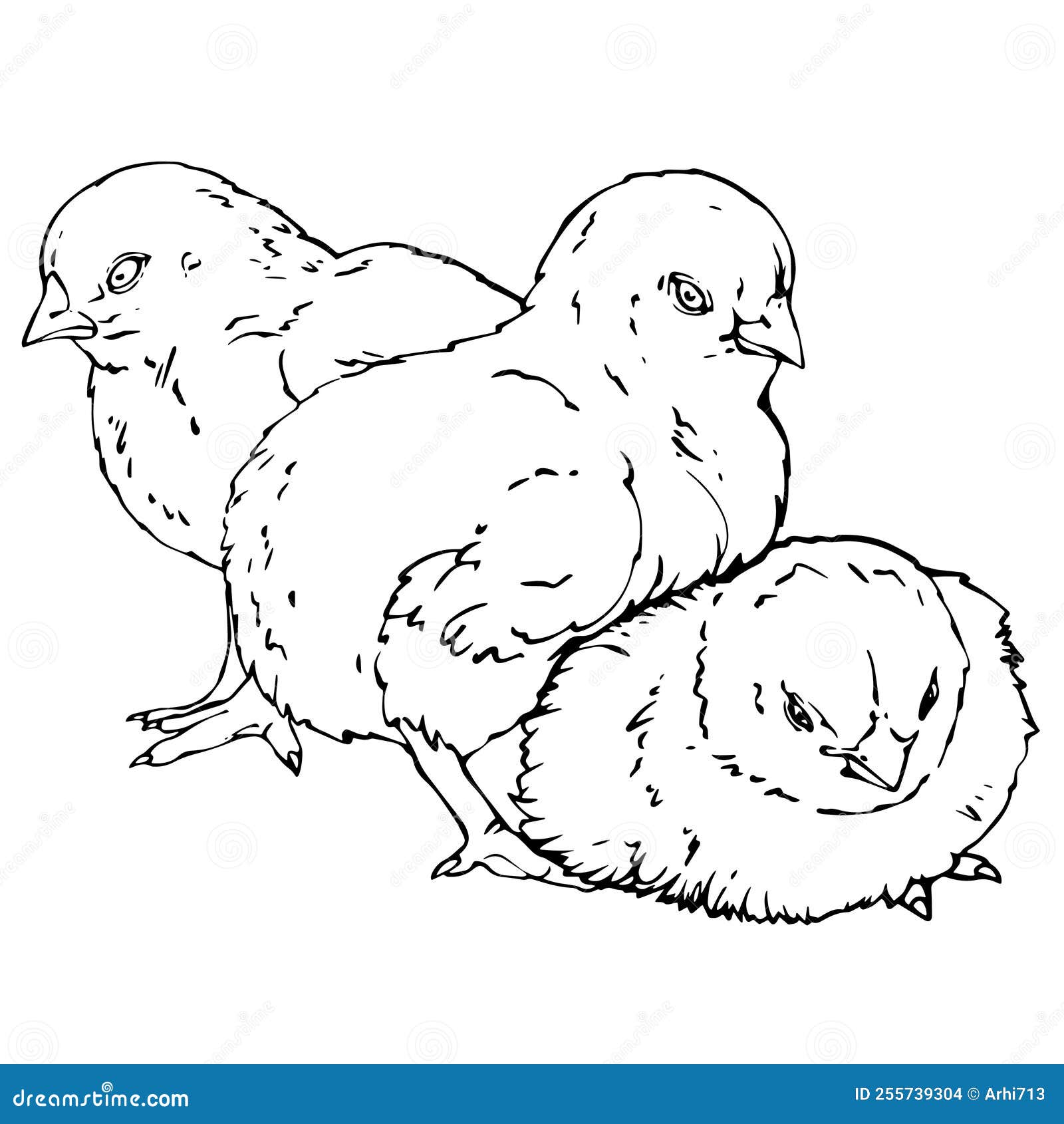 Three Vector Chickens for Children`s and Adults` Illustrations. Stock ...