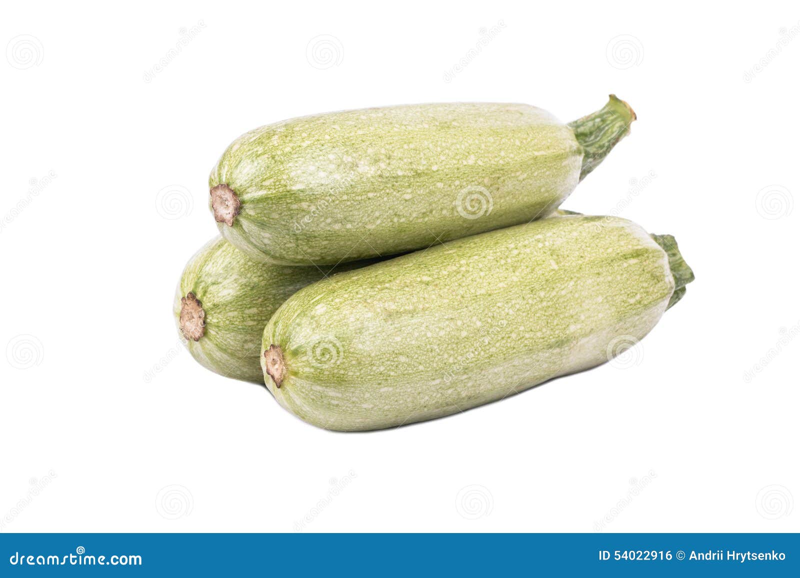 Three vegetable marrow stock photo. Image of ingredient - 54022916