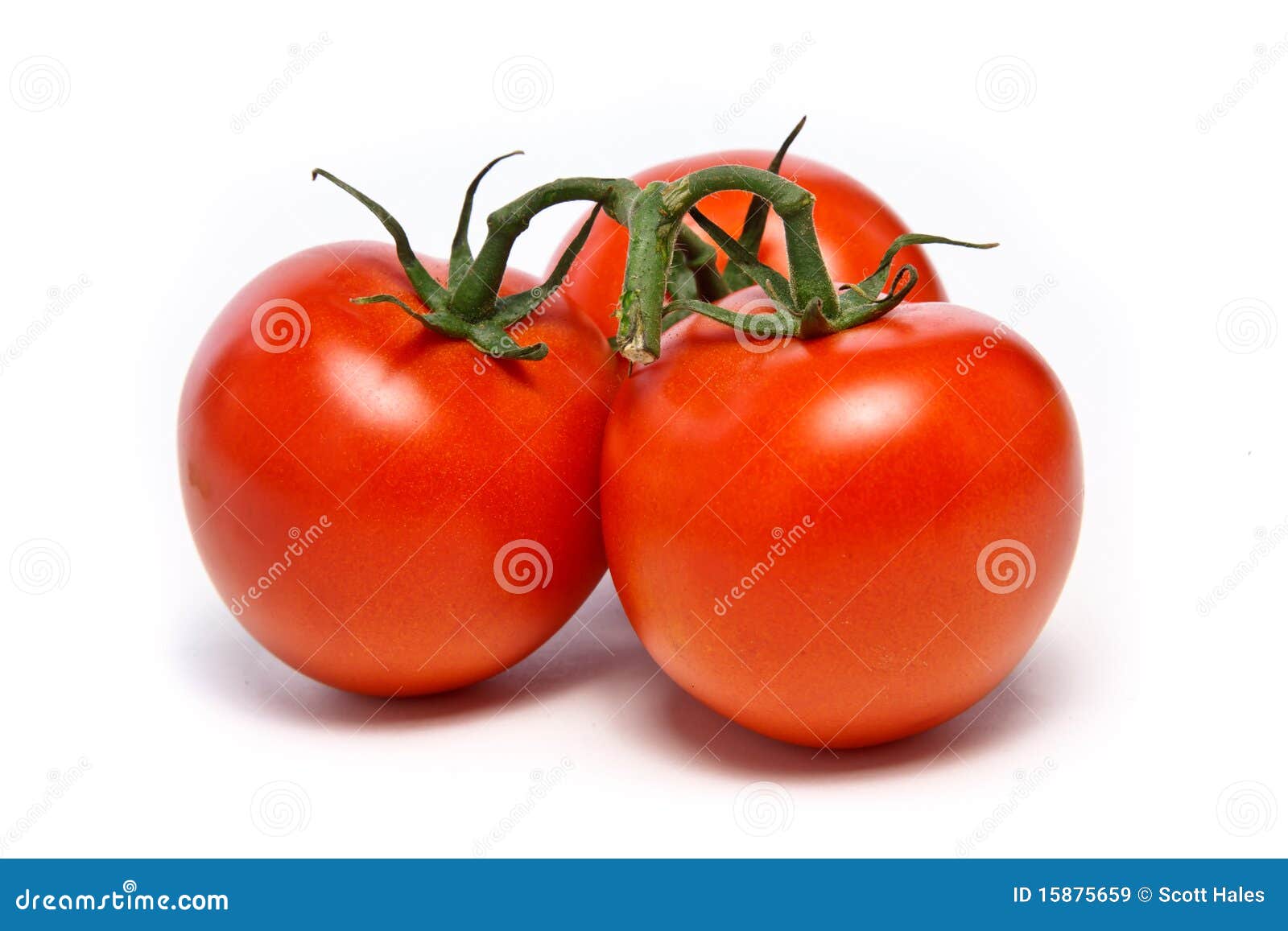 Three Vine Ripened Tomatoes Stock Image - Image of truss, pepper: 15875659