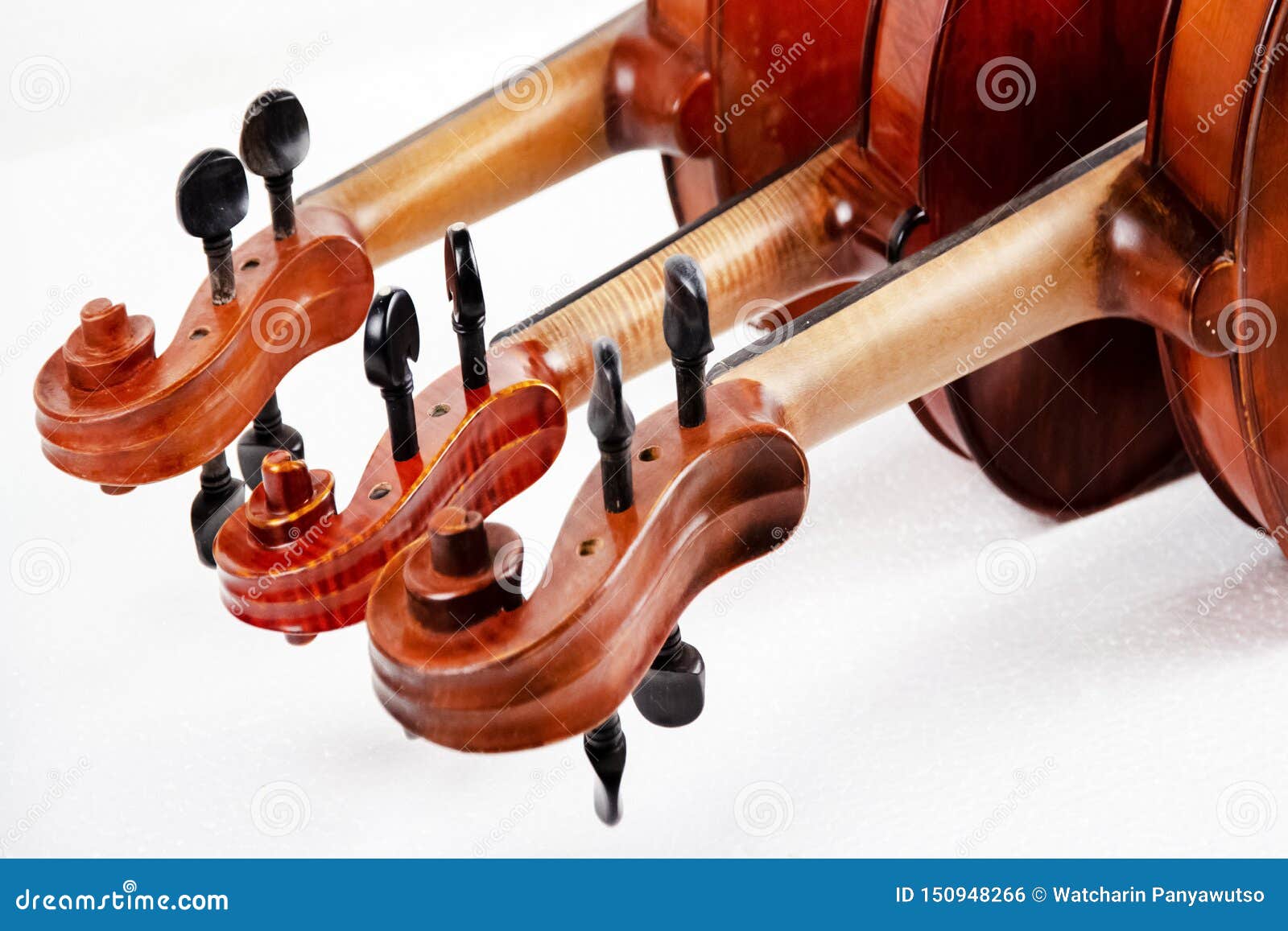 Three Violins Show Back Side,the Construction of Violin,Scroll,Pegbox ...