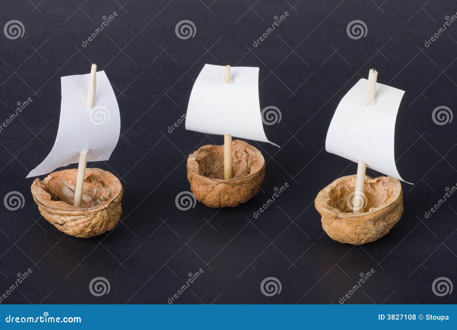 Three walnut boats stock photo. Image of explore, adventure - 3827108