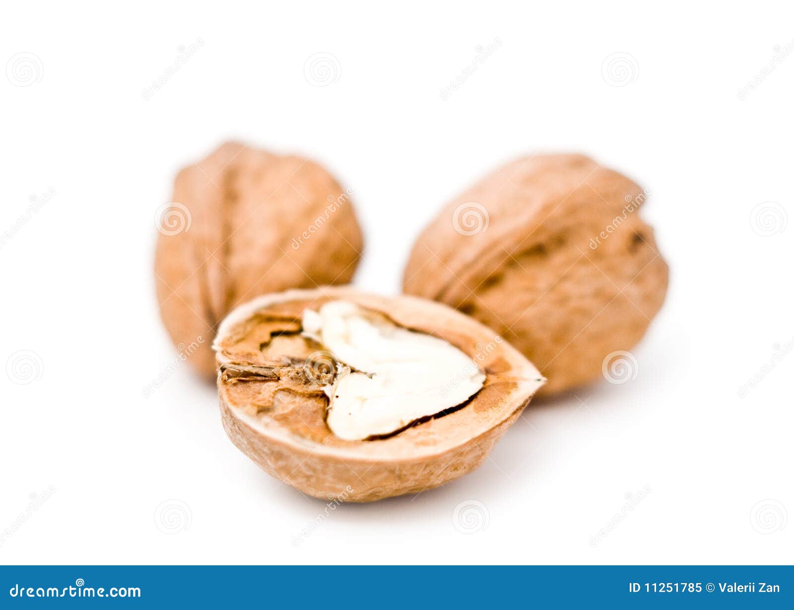 Three walnuts stock image. Image of healthy, collection - 11251785