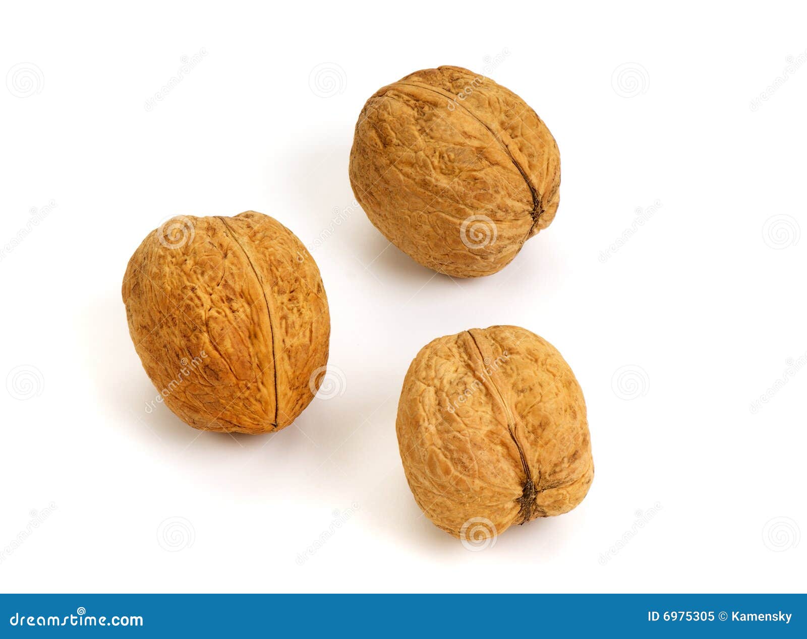 Three walnuts stock image. Image of autumn, macro, fruit - 6975305