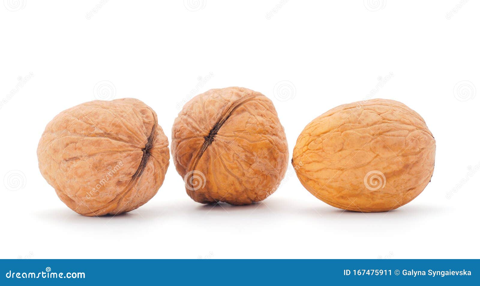Three Walnuts Isolated on a White Stock Image - Image of macro, nature ...