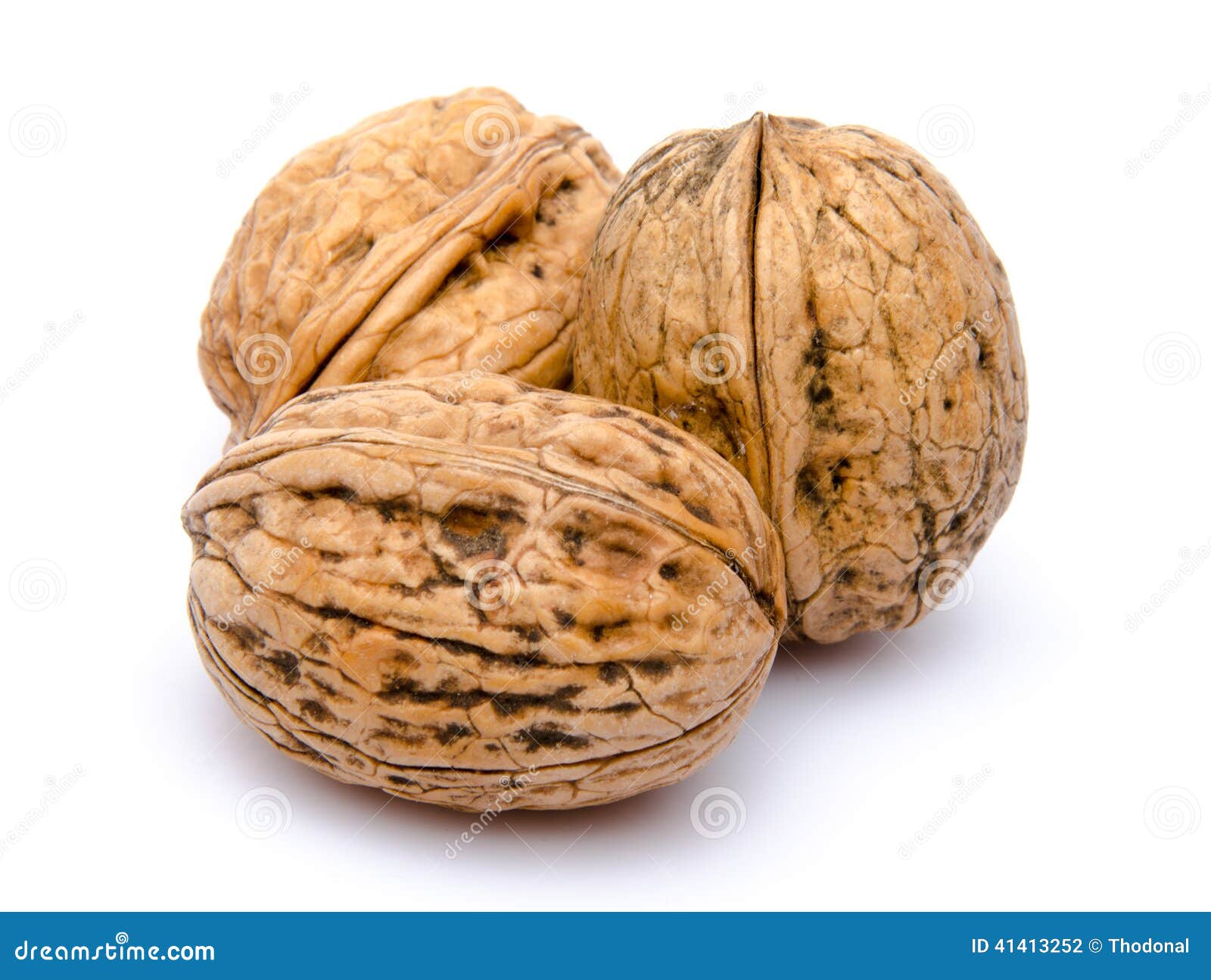 Three walnuts stock photo. Image of organic, natural - 41413252
