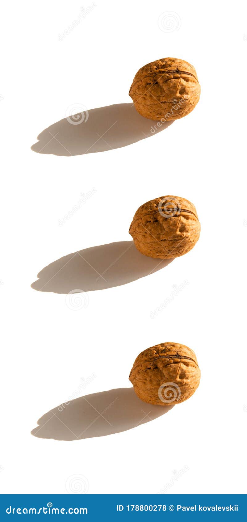 Three Walnuts on White Background Stock Photo - Image of shell, pattern ...