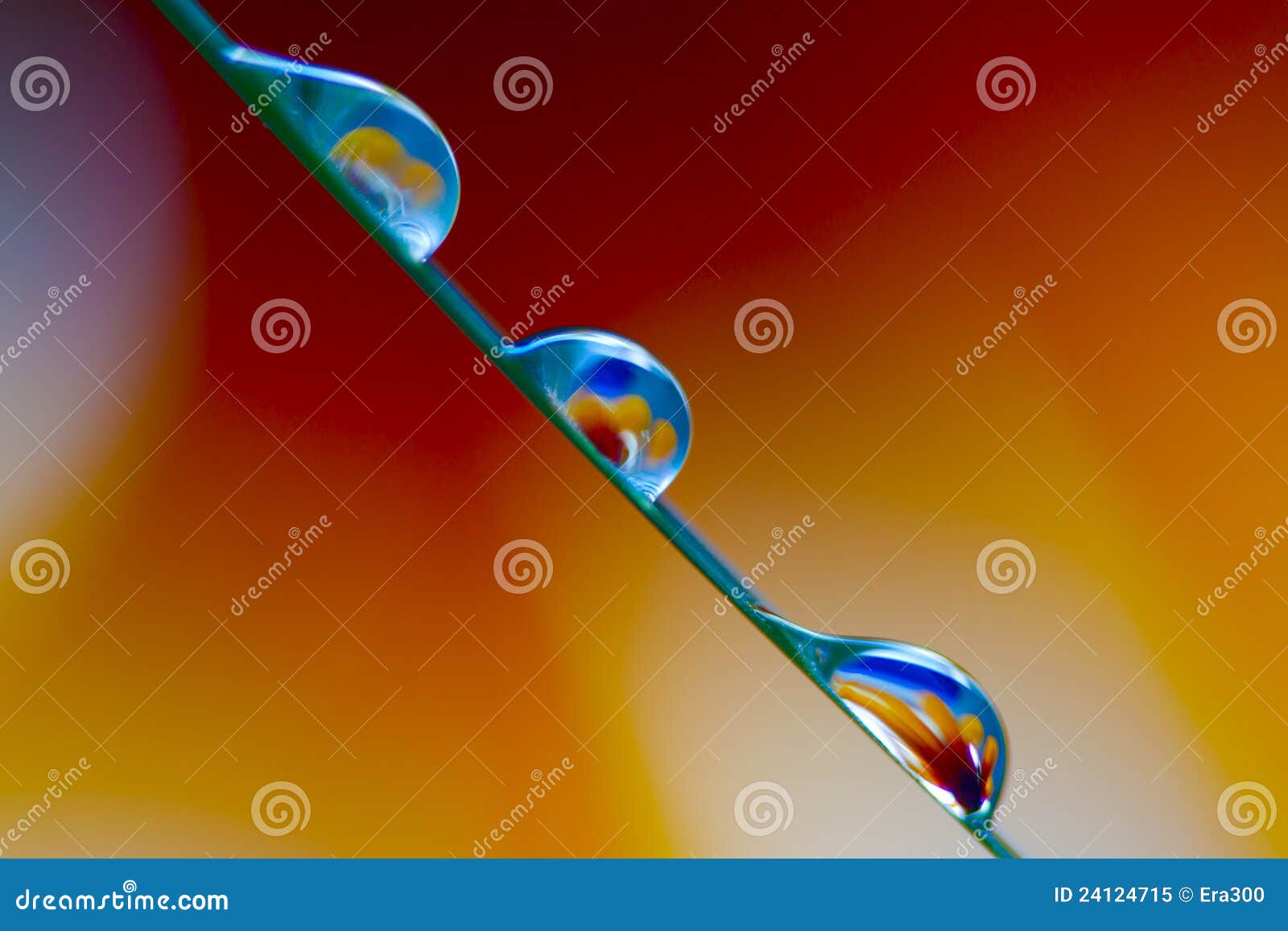 Three waterdrops stock image. Image of peace, rain, leaf - 24124715