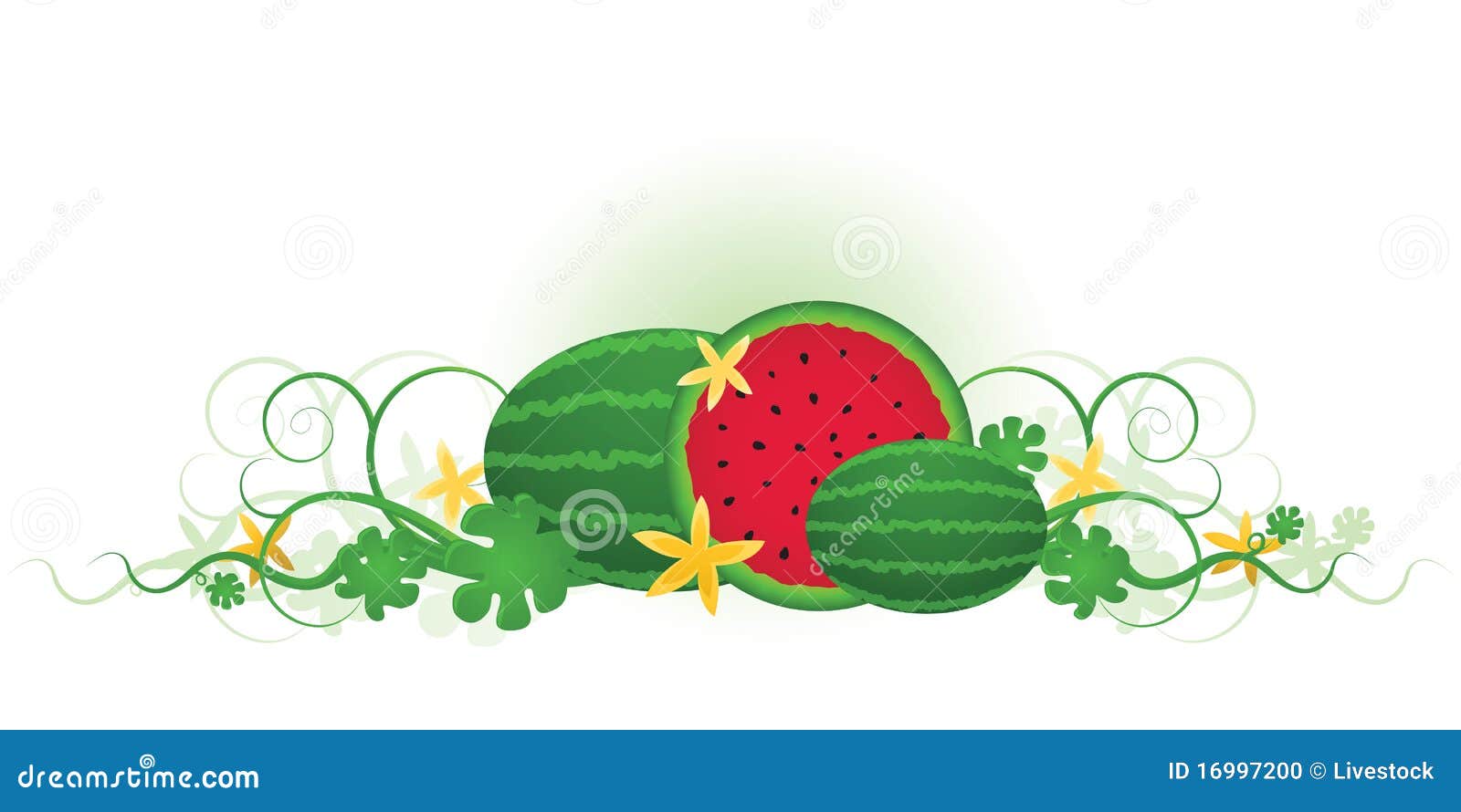 Three Watermelons stock vector. Illustration of clipart - 16997200