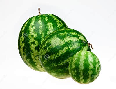 Three watermelons. stock image. Image of ripe, green - 21638183