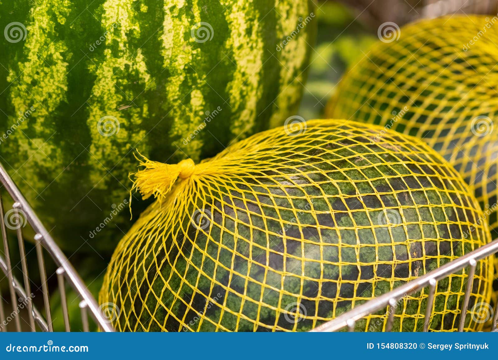 Three Watermelons in a Grid on the Store Counter Stock Photo - Image of ...