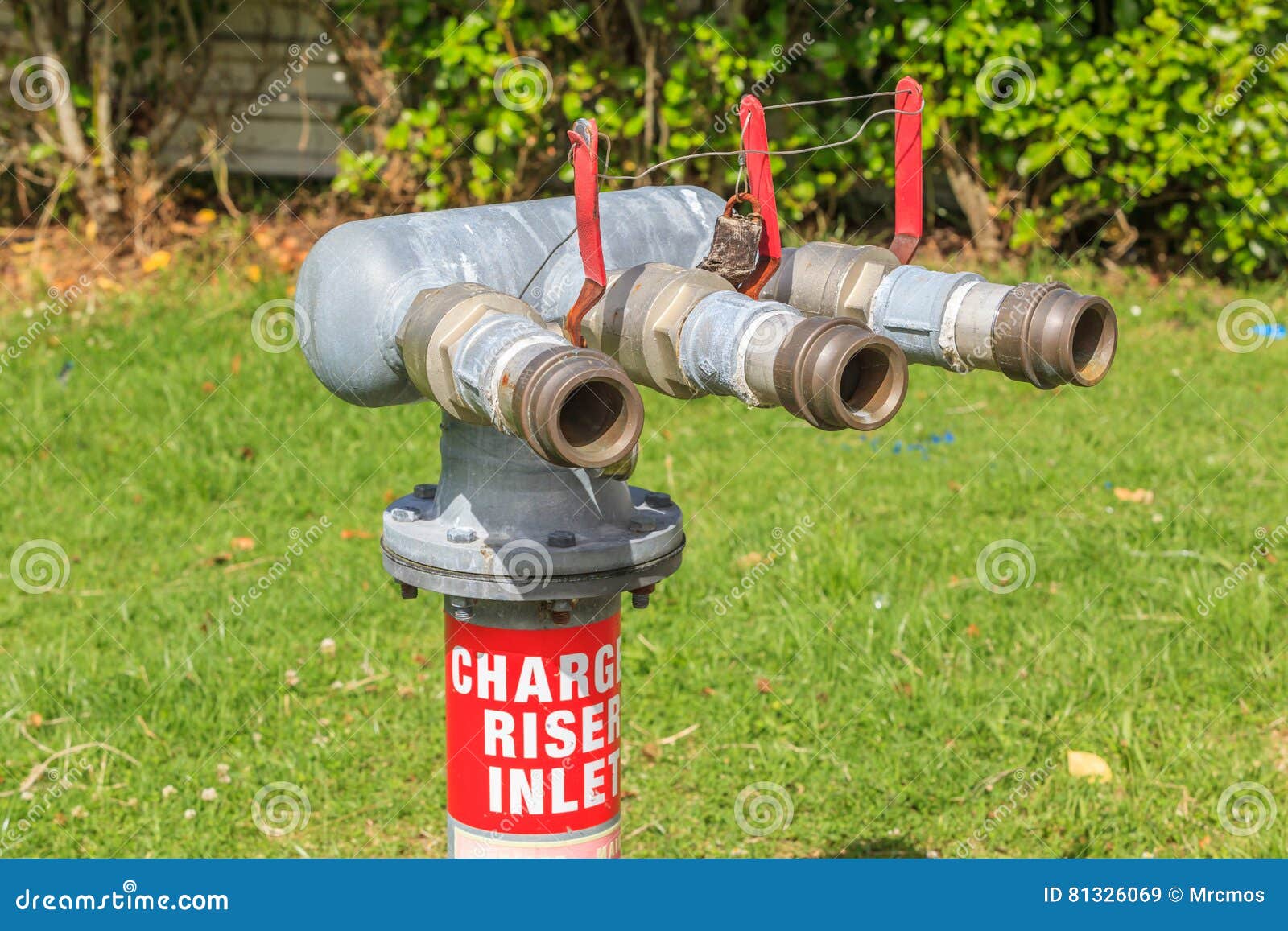 Three Way Of Firefighter Stand On Green Grass Garden, Safety Con ...
