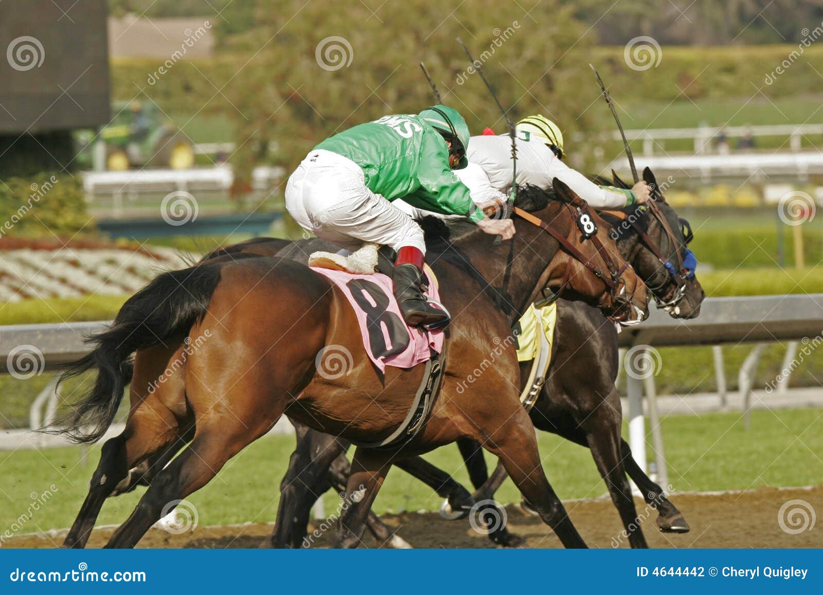 Three-Way Race To the Finish Editorial Photography - Image of ...