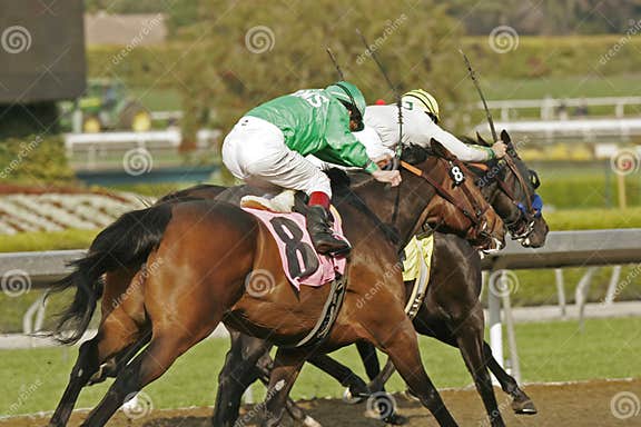 Three-Way Race To the Finish Editorial Photography - Image of ...