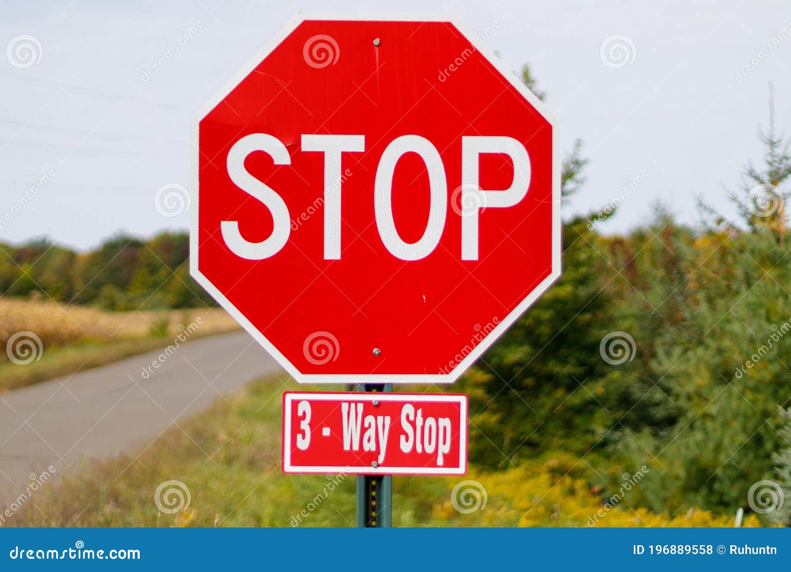 Three Way Stop Sign on a Country Road with Trees during Summer Stock ... Three Way Stop Sign on a Country Road with Trees during Summer Stock ...