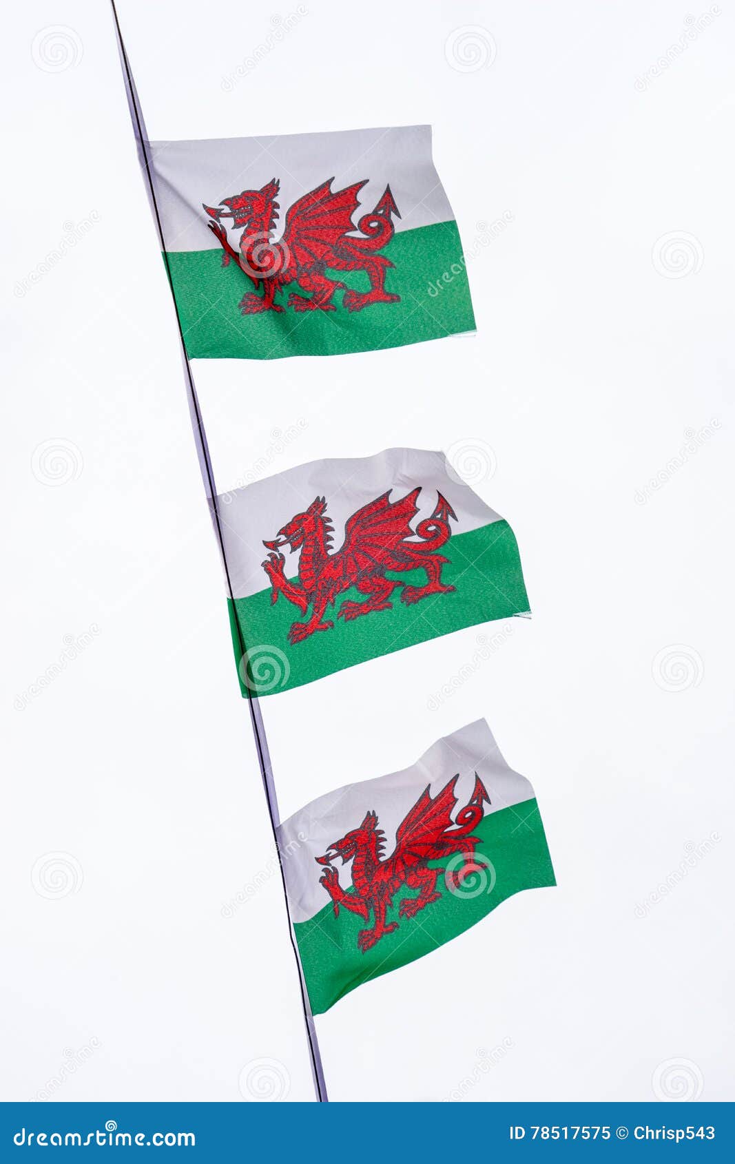 Three Welsh Flags Flying Against A White Background Royalty-Free Stock ...